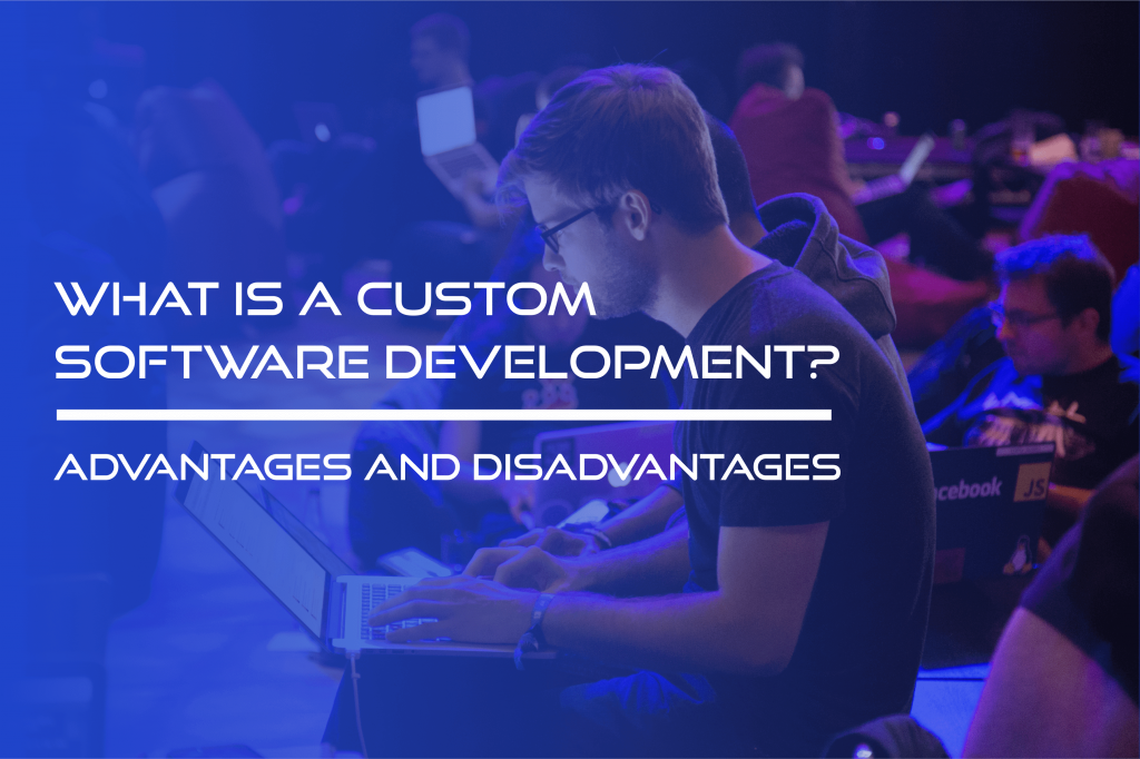 What is custom software development? Advantages and disadvantages ...